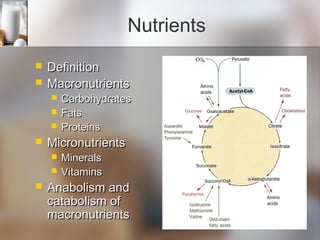 Food chemistry part1_post | PPT