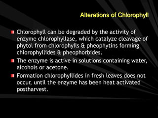 Food chemistry pigment.ppt