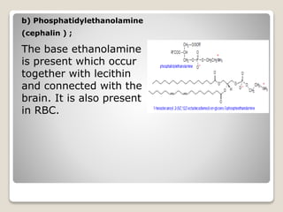 Food chemistry presentation | PPTX