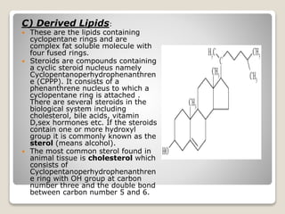 Food chemistry presentation | PPTX