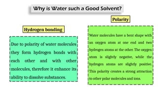 Water for Food Chemistry for BSc students | PPTX