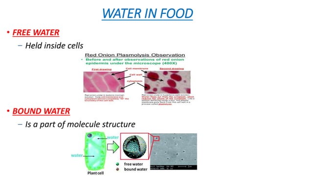 water activity | PPT