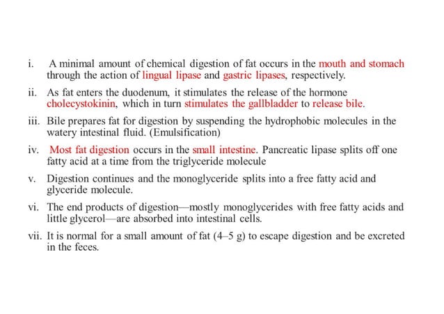 Food classification.pdf