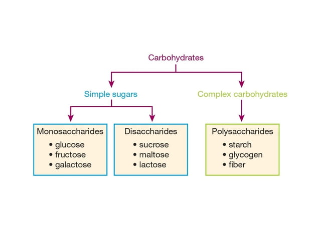 Food classification.pdf