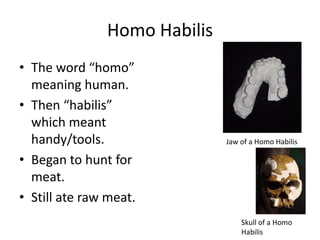 Food clothing about homos ny quintin | PPT
