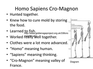 Food clothing about homos ny quintin | PPT