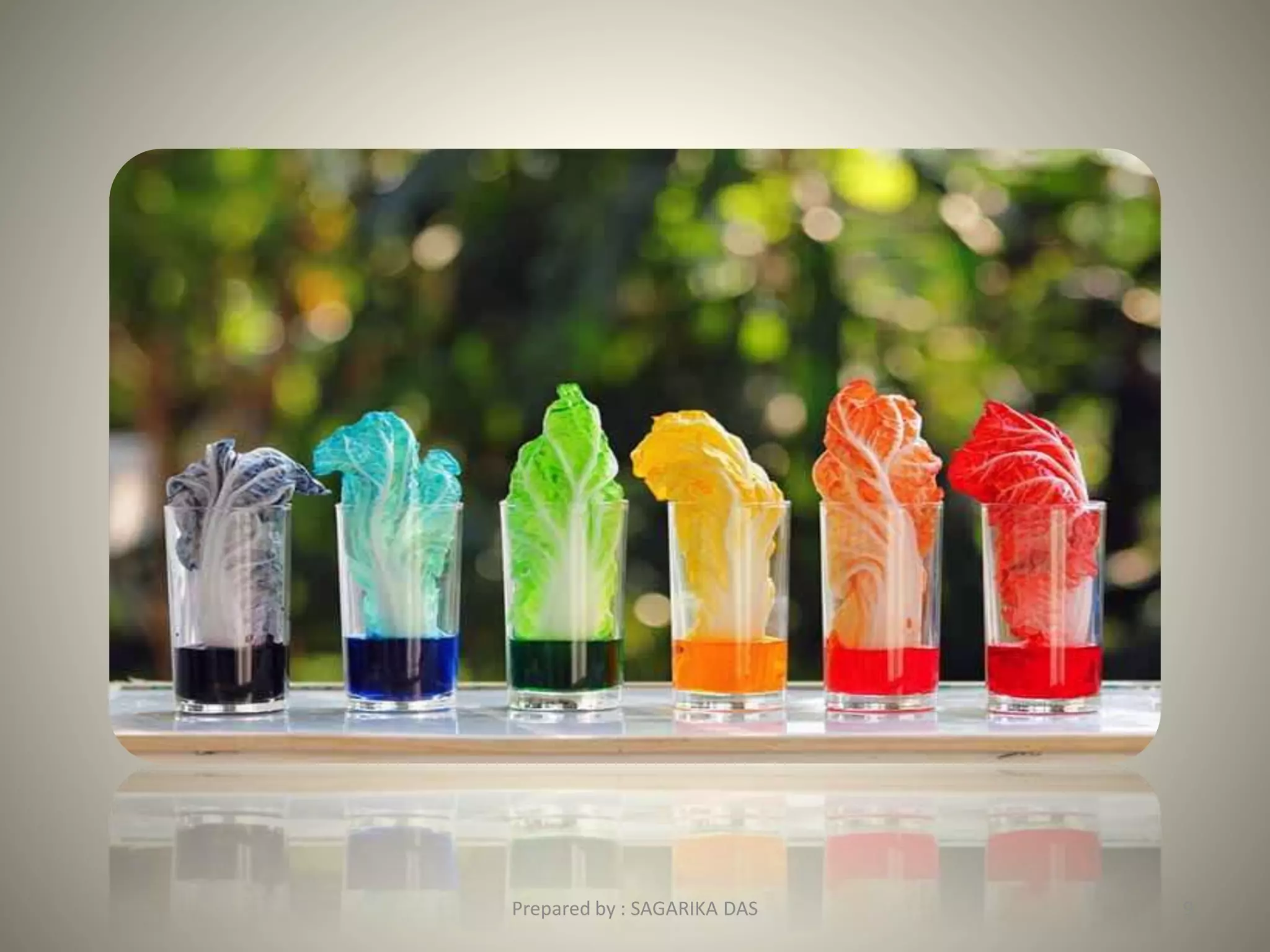 EDIBLE FOOD COLOURS | PPTX