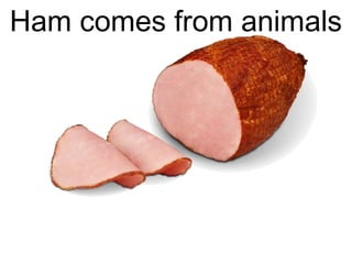 Food comes from plants or animals | PPT