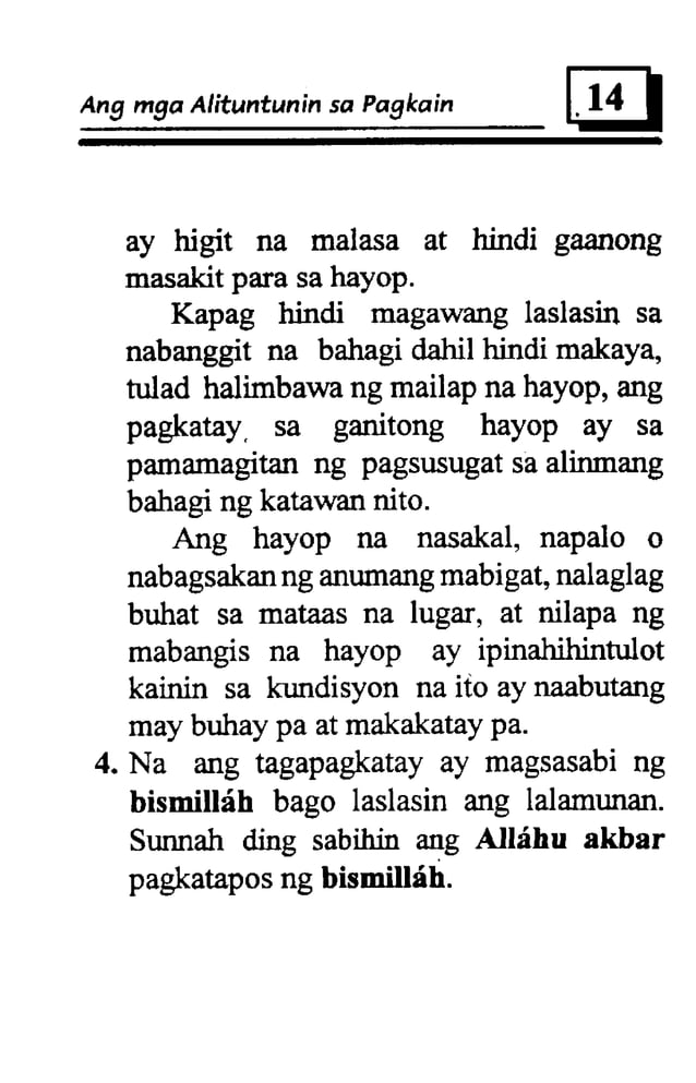 Food conditions in Islam, tagalog | PDF