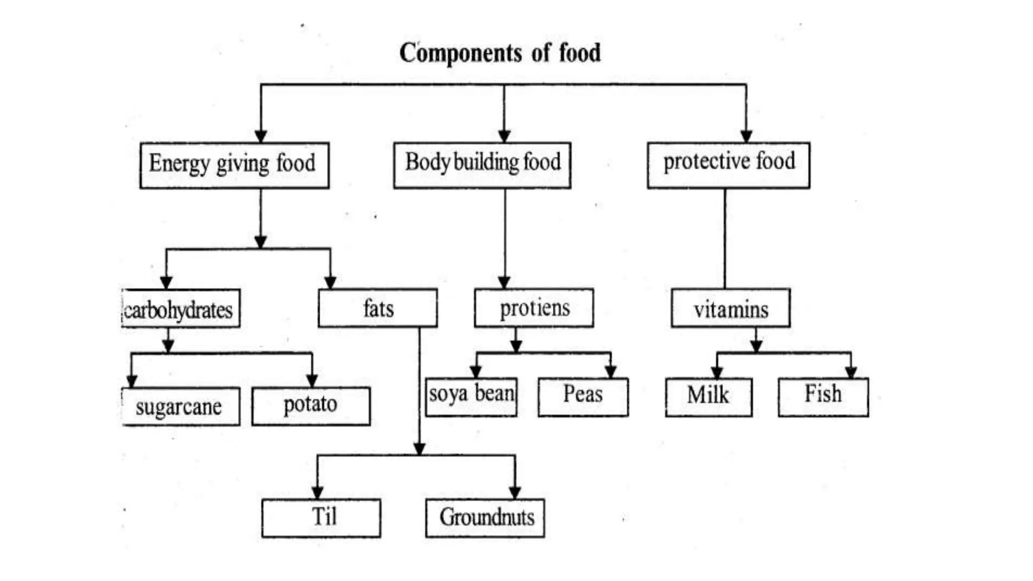 Food constituents ,their functions ,digestive system.pptx