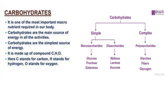 Food constituents ,their functions ,digestive system.pptx