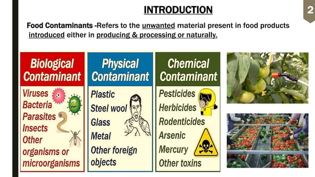 Food contaminants.pptx
