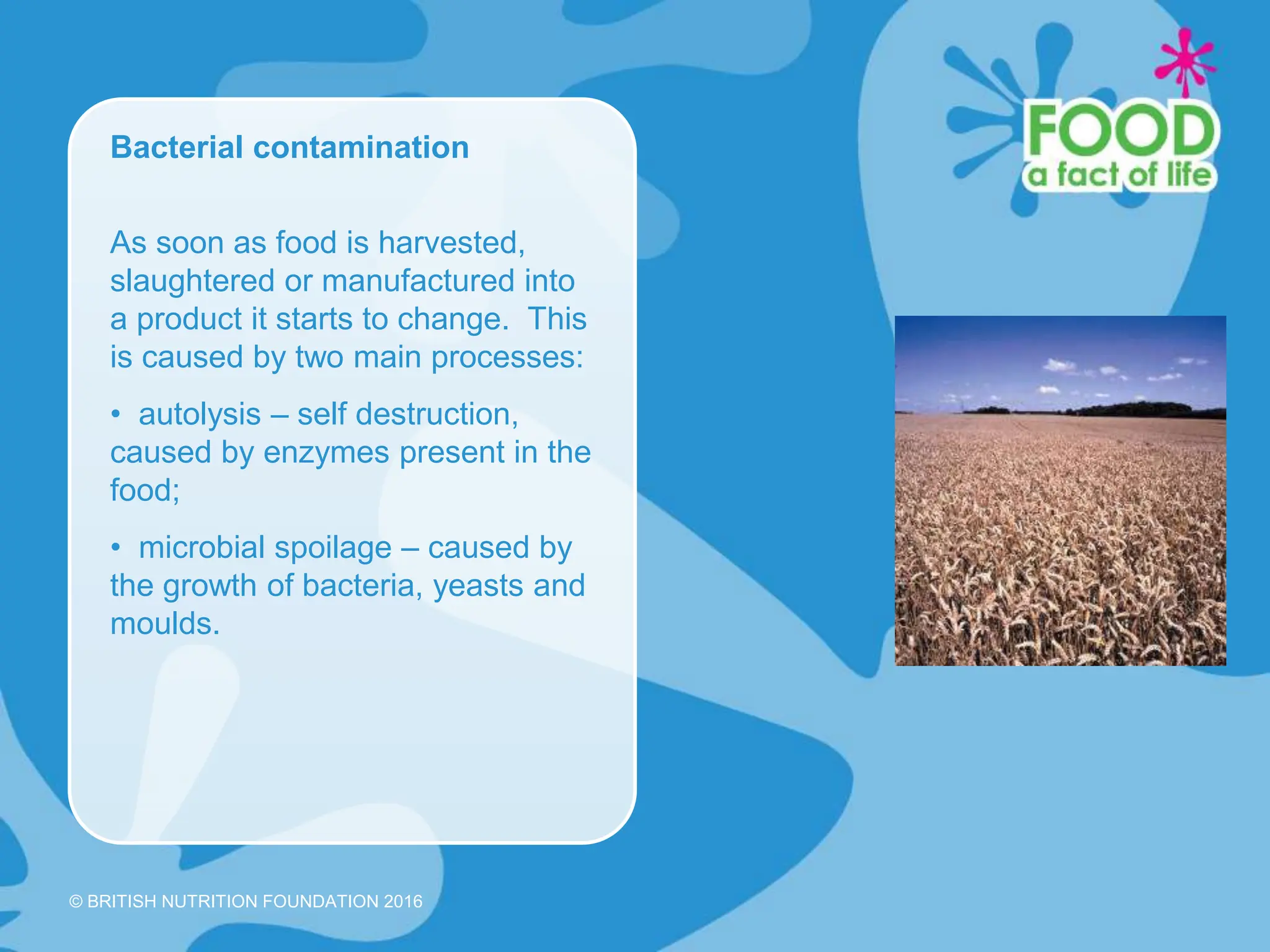 Food_contaminants.ppt