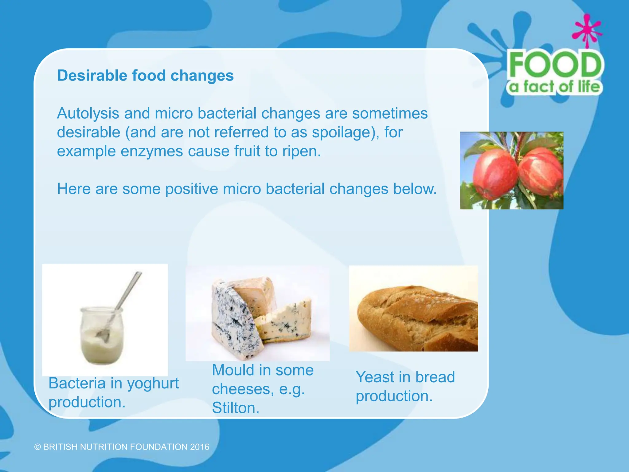 Food_contaminants.ppt