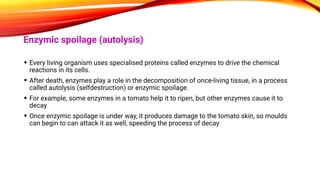 Food Contamination and Spoilage.pdf