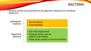 Food Contamination and Spoilage.pdf