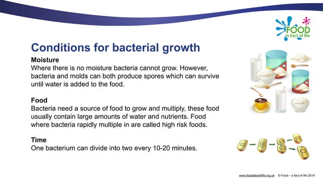 Food Micro_Food Contamination and Spoilage.pptx