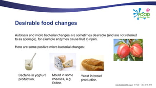 Food Micro_Food Contamination and Spoilage.pptx