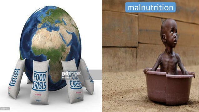 Food crisis and malnutrition | PPTX | Agriculture | Industries