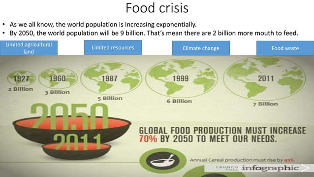 Food crisis and malnutrition | PPTX | Agriculture | Industries