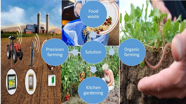 Food crisis and malnutrition | PPTX | Agriculture | Industries