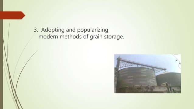 Solving Food Crisis | PPT