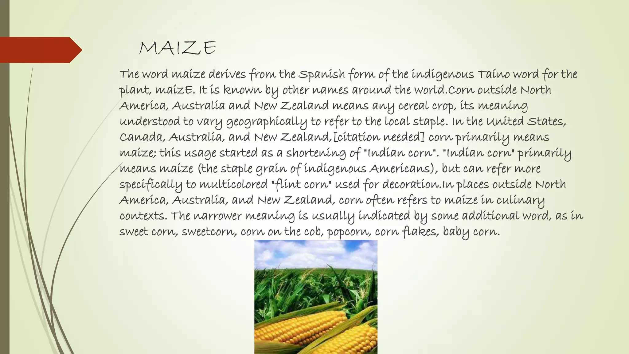 Food crop | PPTX