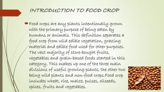 Food crop | PPTX