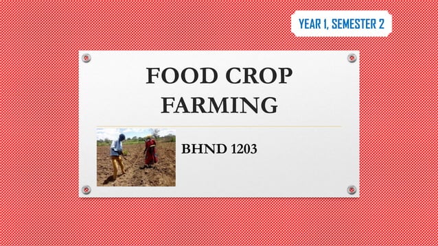 FOOD CROP FARMING presntation slies 2021.pdf