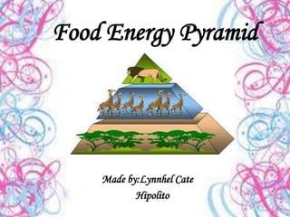 chmsc lab. school science 6 - food energy pyramid | PPT