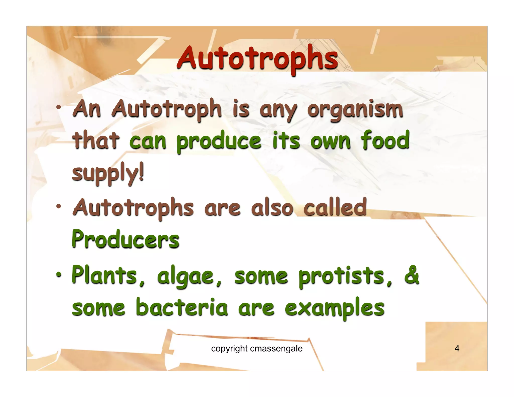 Food Energy Through Ecosystems | PDF