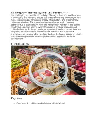 Food Engineering.pdf