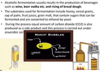 Food fermentation | PPTX