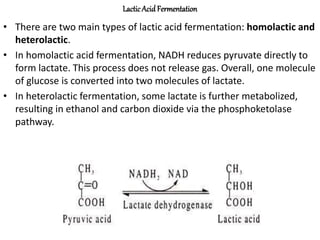 Food fermentation | PPTX