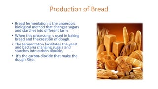 INTRODUCTION OF FOOD FERMENTATION AND PRODUCTION | PPTX