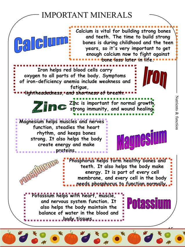 Food & Nutrition Project for 4th graders | PPT