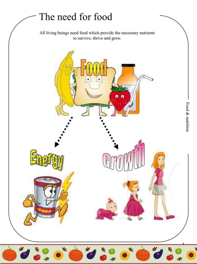 Food & Nutrition Project for 4th graders | PPT