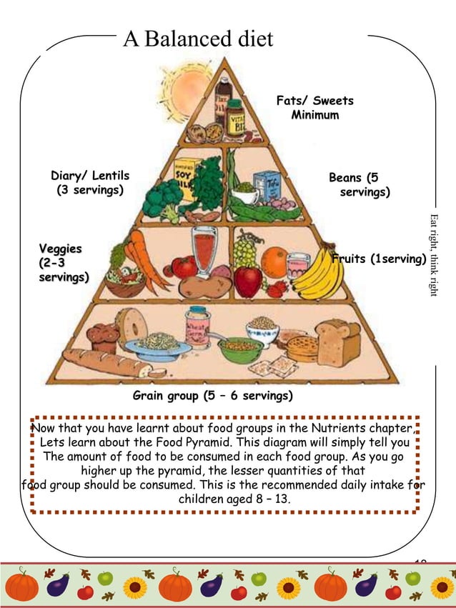 Food & Nutrition Project for 4th graders