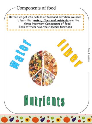 Food & Nutrition Project for 4th graders | PDF