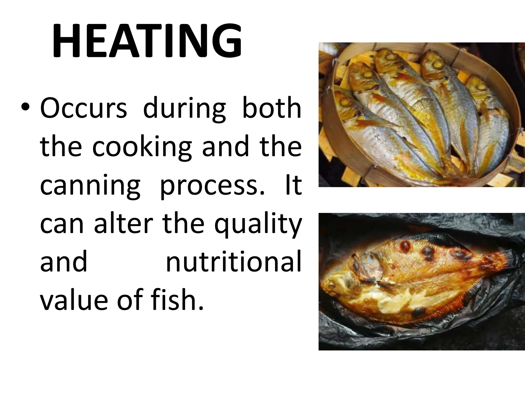 TVE 7 FOOD FISH PROCESSING PROCEDURE.pptx