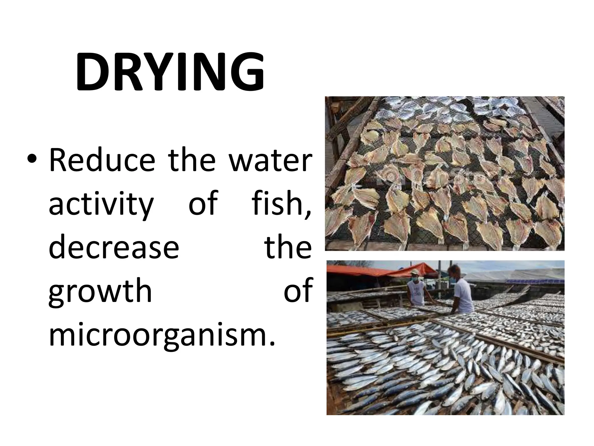 TVE 7 FOOD FISH PROCESSING PROCEDURE.pptx