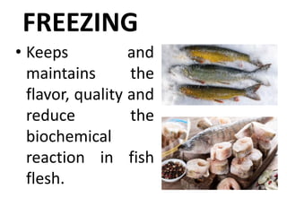 TVE 7 FOOD FISH PROCESSING PROCEDURE.pptx