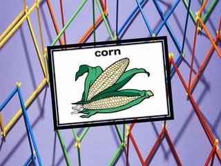 food flash cards1.pdf