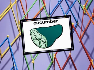 food flash cards1.pdf