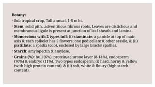 FOOD ,FORAGE AND FODDER CROPS OF RAJASTHAN | PPTX