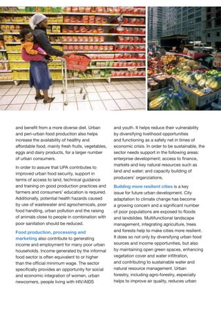 Food for cities | PDF