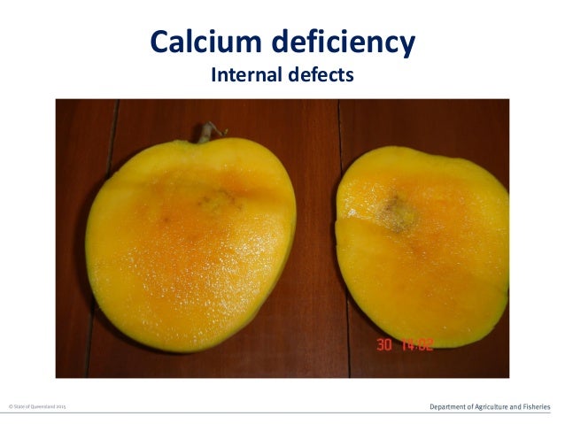 Food for Fruit – Nutrition management in mangoes