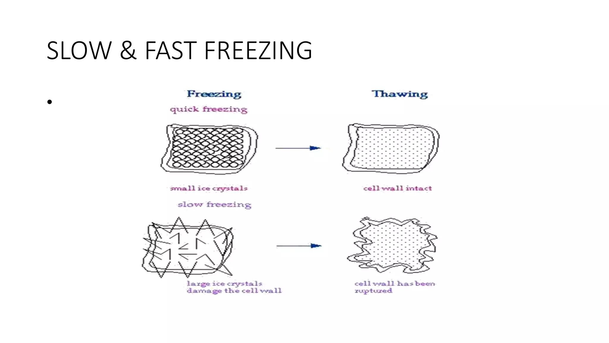 Food freezing & freezing systems | PPTX