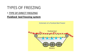 Food freezing & freezing systems | PPTX