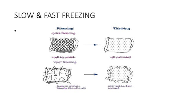 Food freezing & freezing systems
